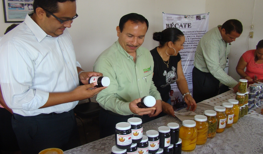 Capacita Gobierno para el autoempleo | Colima Noticias