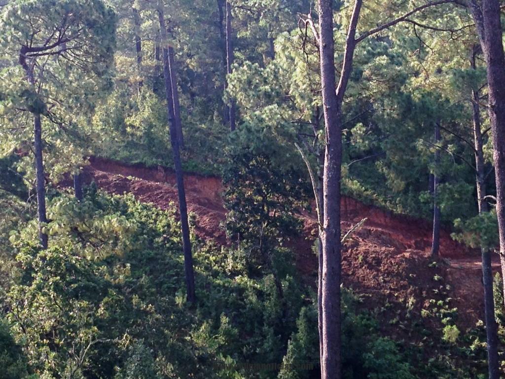 Ternium en Pihuamo | Colima Noticias