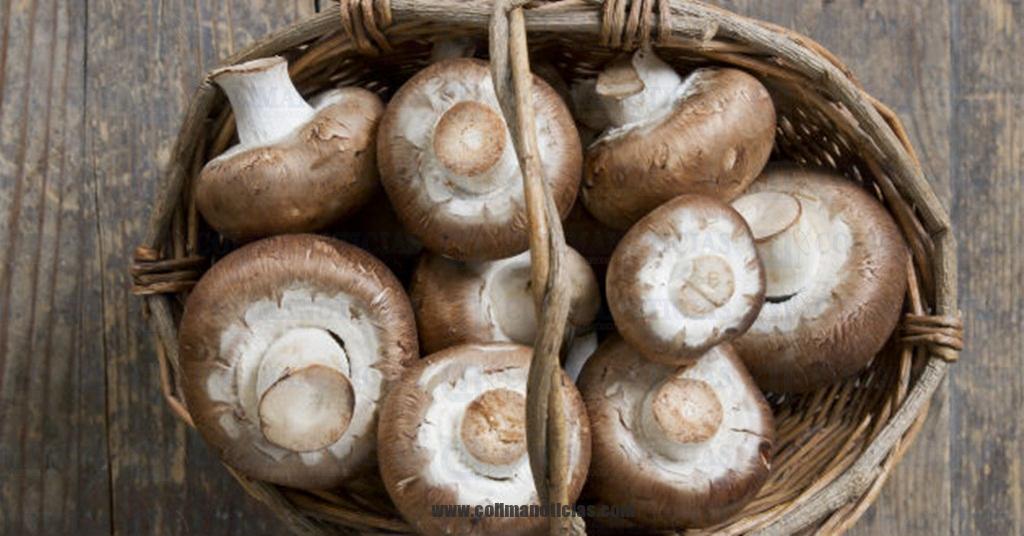 Comer champiñones beneficia la salud | Colima Noticias