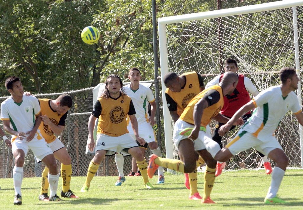 Leones Negros despluma a Loros | Colima Noticias
