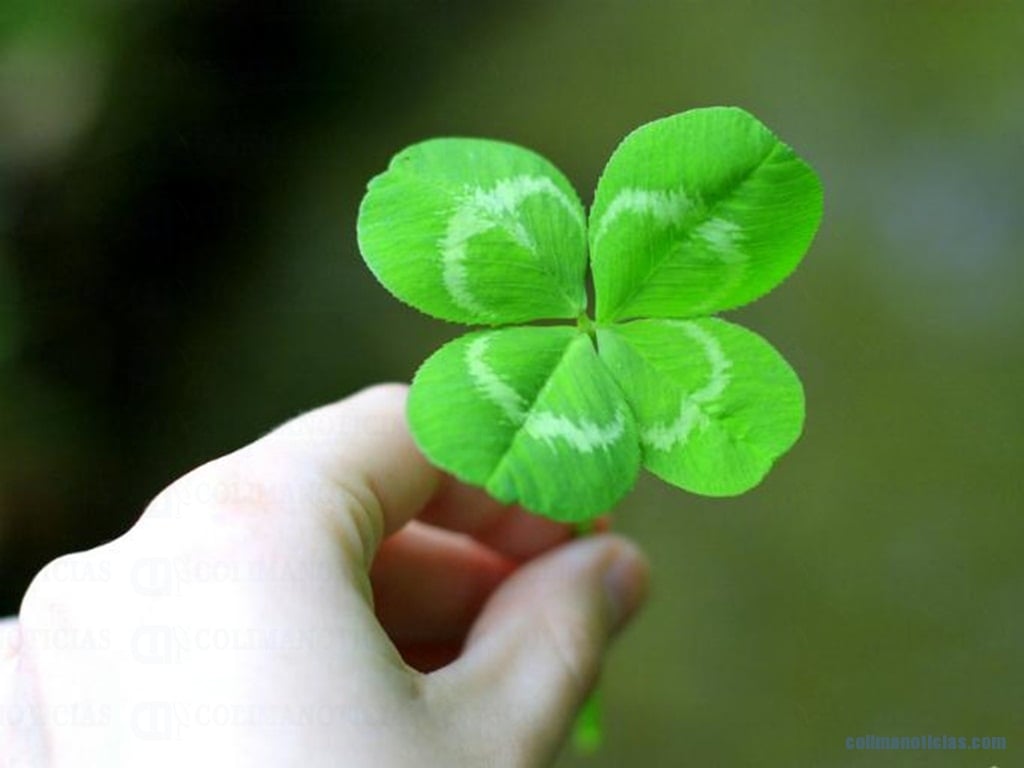 Conoce 4 tips para cambiar tu suerte | Colima Noticias