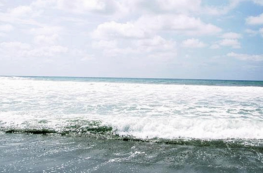 Comisario de la Playa de Tecuanillo pide a ramaderos mejorar apariencia ...