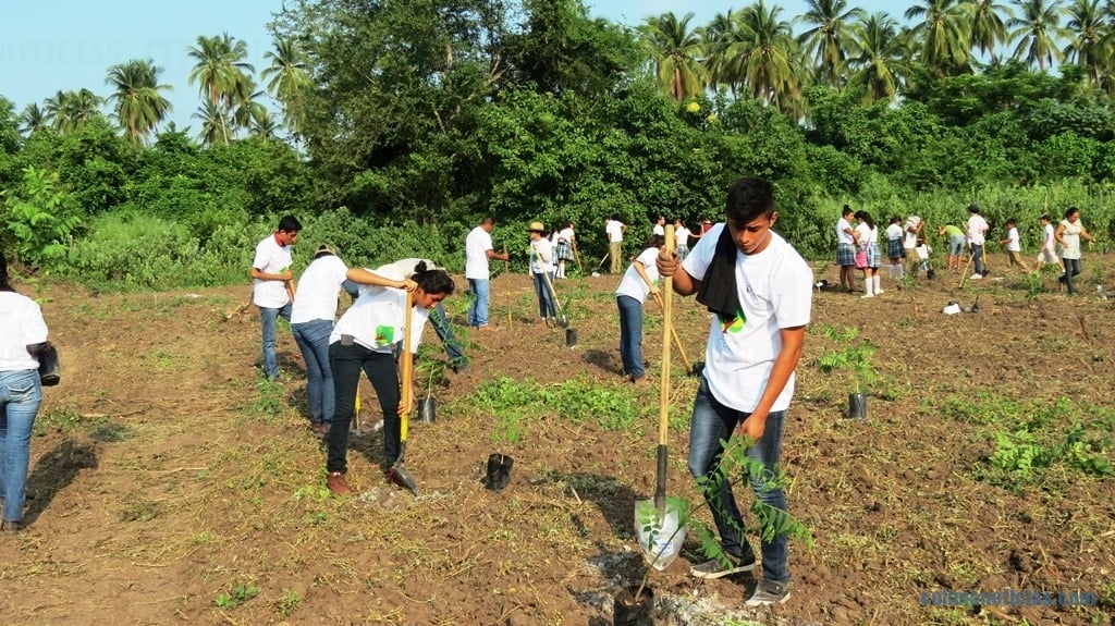 Con reforestación inician en Caleras construcción de un parque | Colima ...