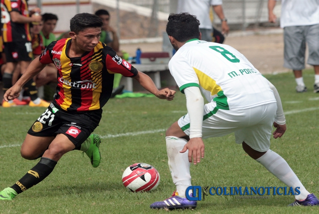 Loros a levantar el vuelo | Colima Noticias