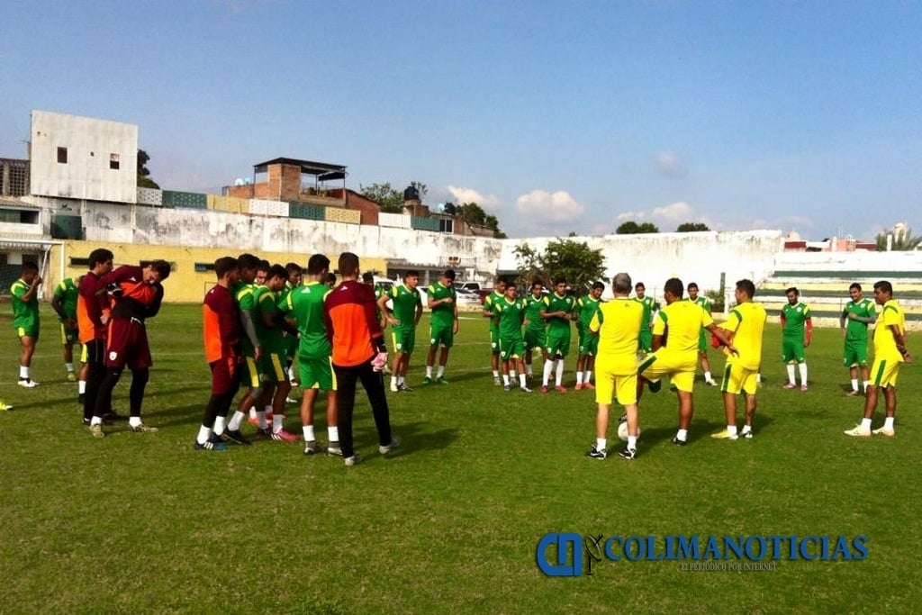 Loros con plantel completo | Colima Noticias