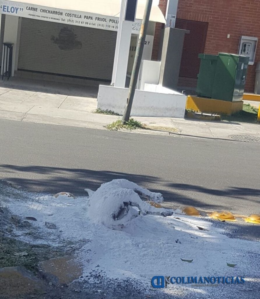 Llama la atención de automovilistas perro con exceso de cal | Colima ...