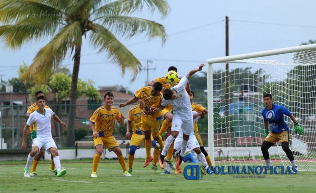 Loros UdeC gana primer amistoso | Colima Noticias