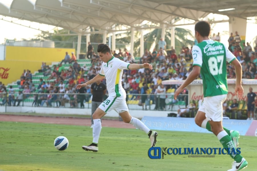 Loros busca retomar el vuelo | Colima Noticias
