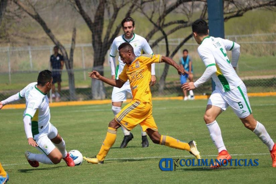 Tigres UANL devoran a Loros | Colima Noticias