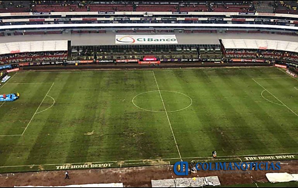 Ingeniero “Pirata” y con un curso en línea, instaló el césped del ...