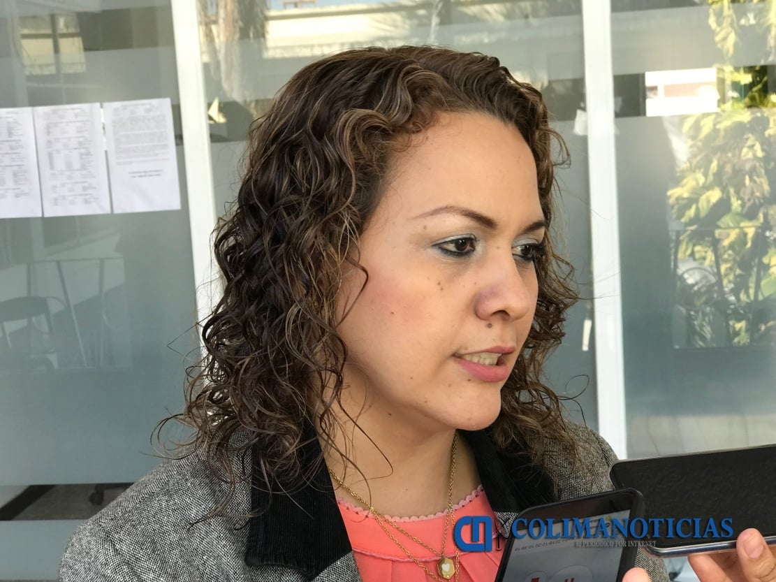 Isis Sánchez llama a la unidad de los panistas para el cambio de ...