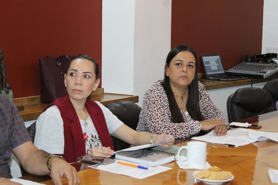 Bojado descalifica a la militancia de Morena, considera Livier ...