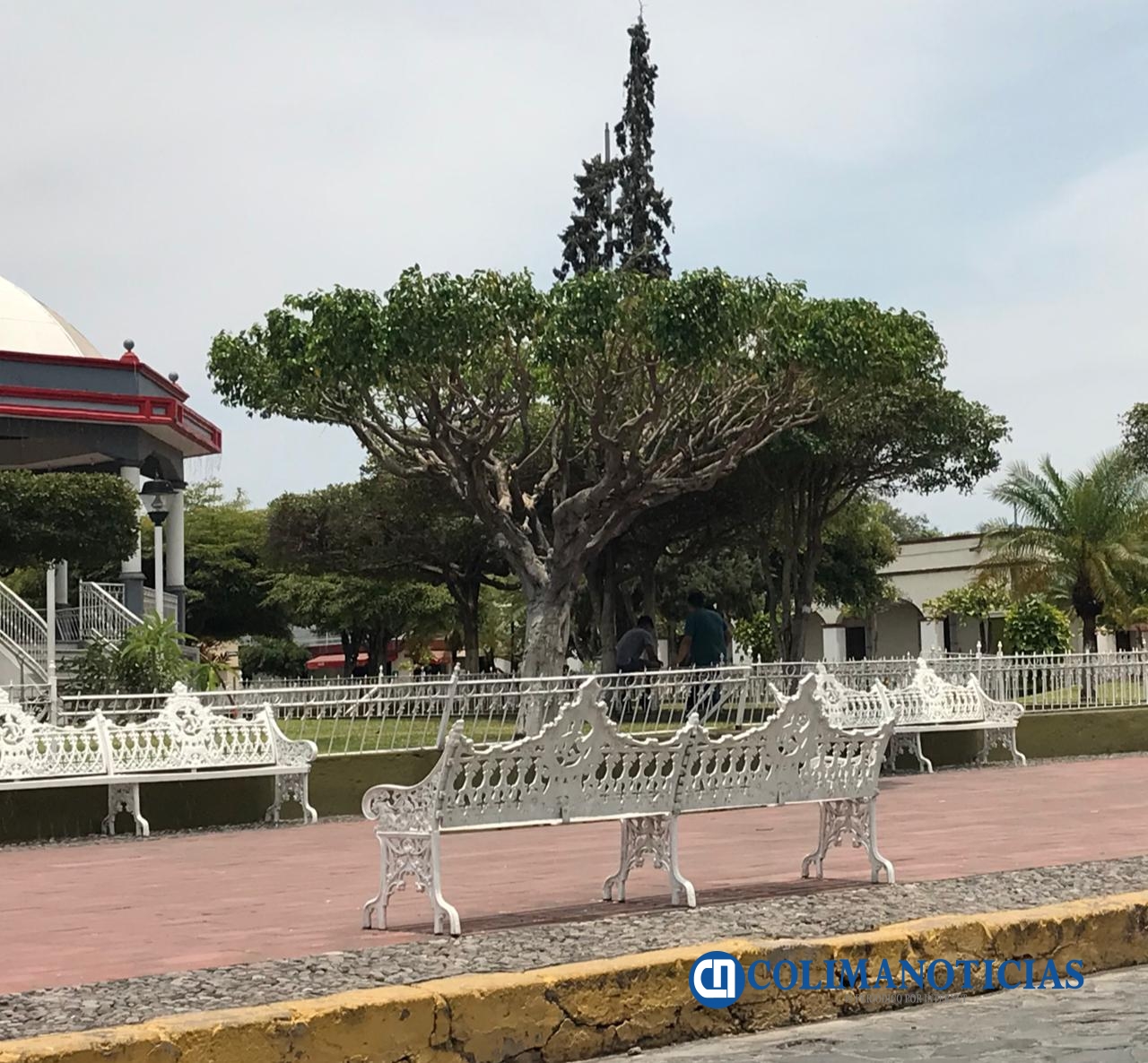 jardin de coquimatlan | Colima Noticias