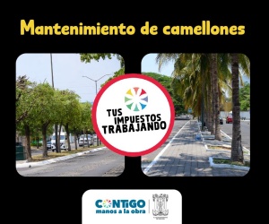 Colima Noticias | El periódico por internet