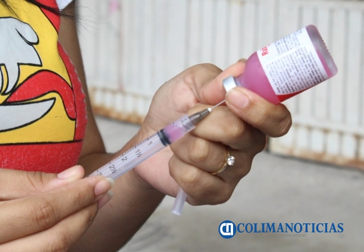 Colima suma 36 años libre de rabia en humanos: Secretaría de Salud ...