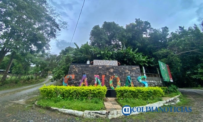 Canoas | Colima Noticias