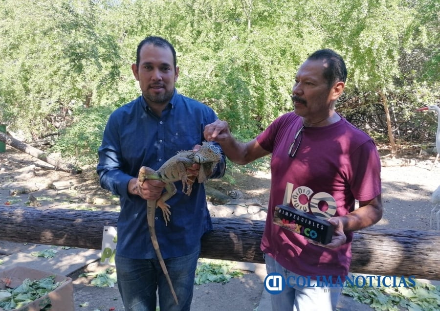 Iguanario Archundia obtiene el galardón de los 100 imperdibles de ...