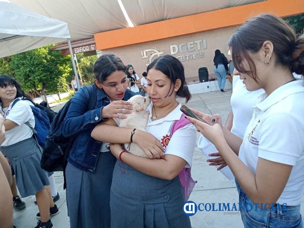 Organiza CBTis 19 el primer Croquetón8.31 | Colima Noticias