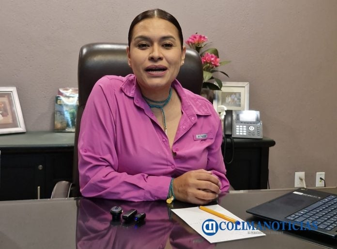 Más de 800 kilómetros de carreteras estatales en Colima se intervienen ...