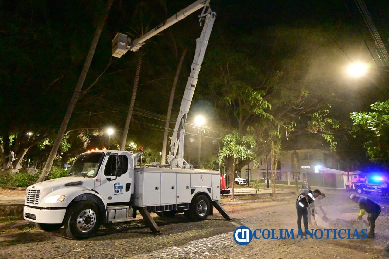 Riult Rivera continua los trabajos de poda y deja iluminada al 100%, la ...