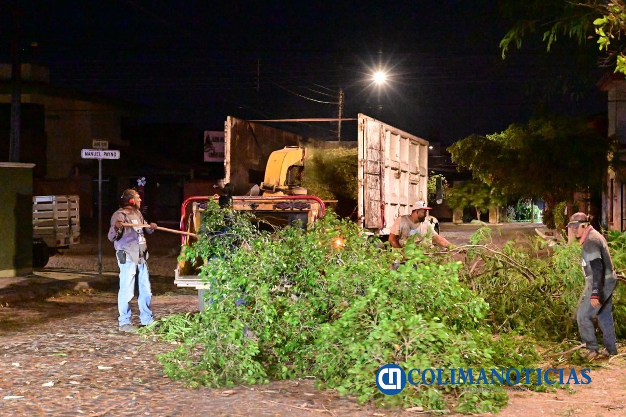 Riult Rivera continua los trabajos de poda y deja iluminada al 100%, la ...