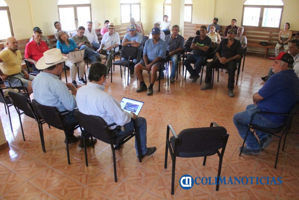 Productores de mango en Manzanillo escuchan alternativas de ...